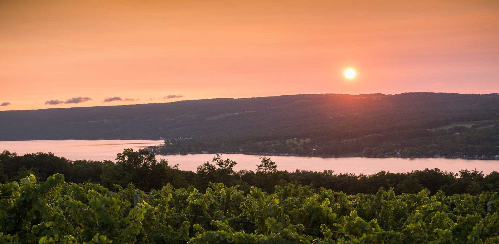 Contact Us - Finger Lakes Libations